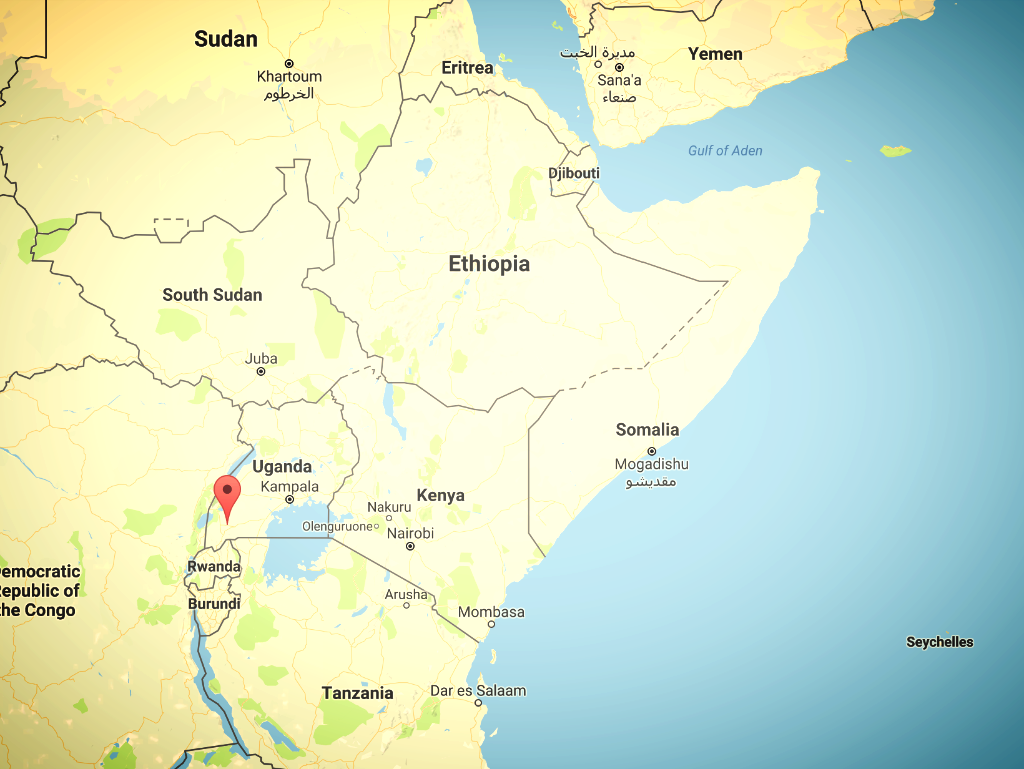 The ICORDian | Fall 2016 | ICORD